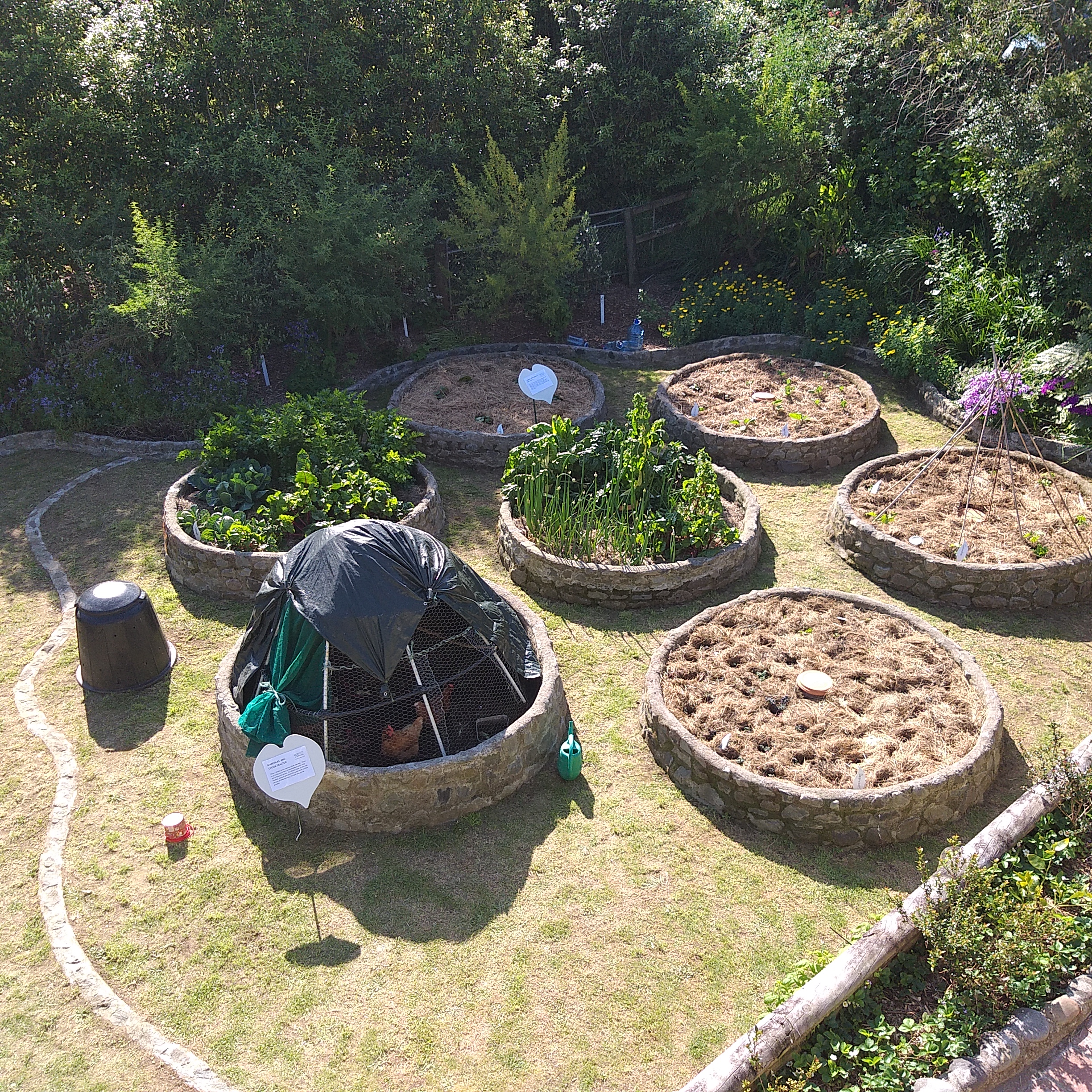 Productive Garden Plants – Korito Education